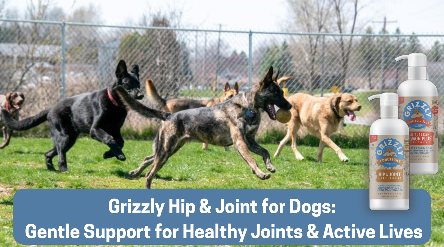 Grizzly Hip & Joint for Dogs: Gentle Support for Healthy Joints & Acti ...