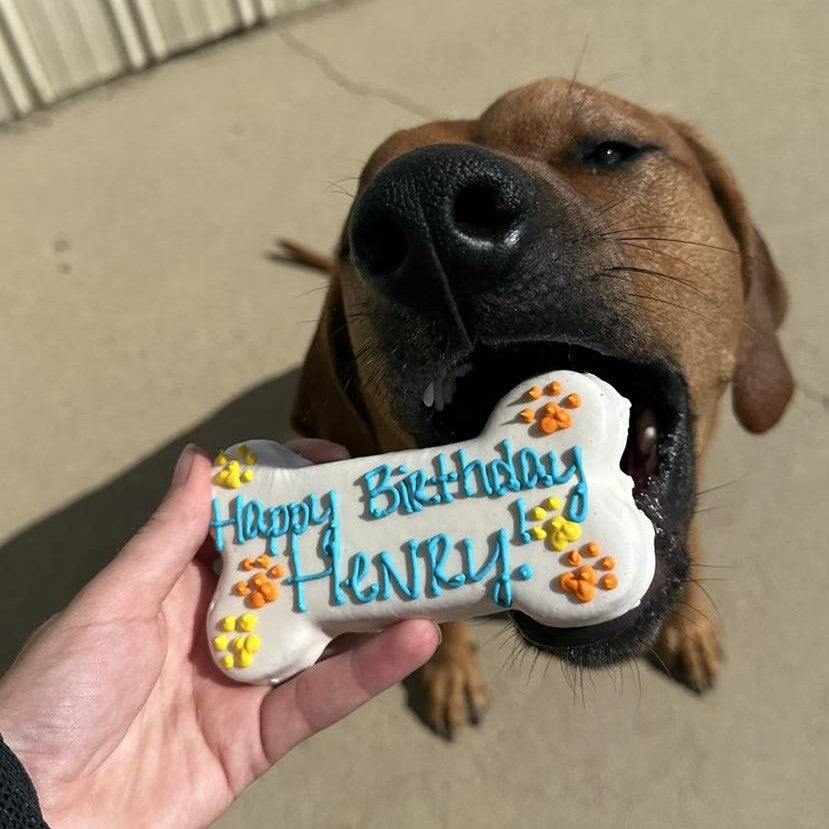 The Bakery – A Place for Paws