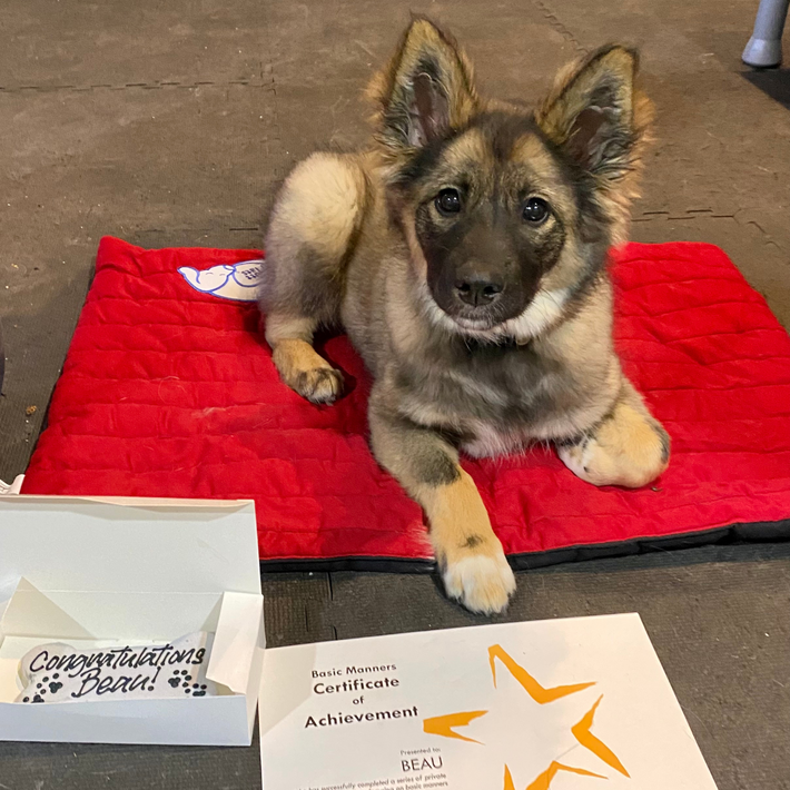 A Place for Paws LLC