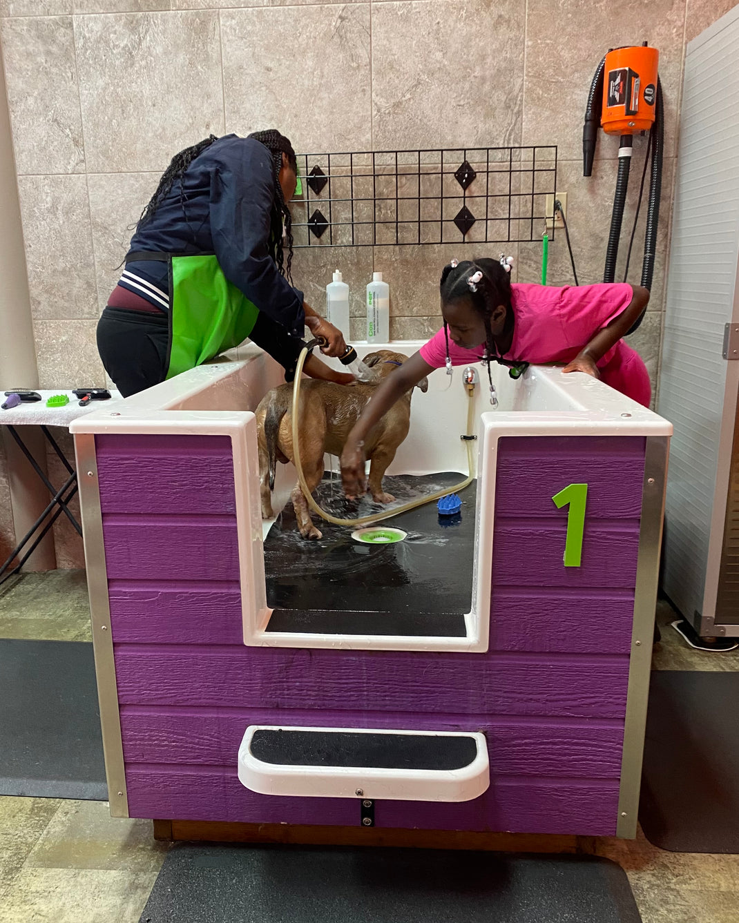 Bathing & Grooming – A Place for Paws
