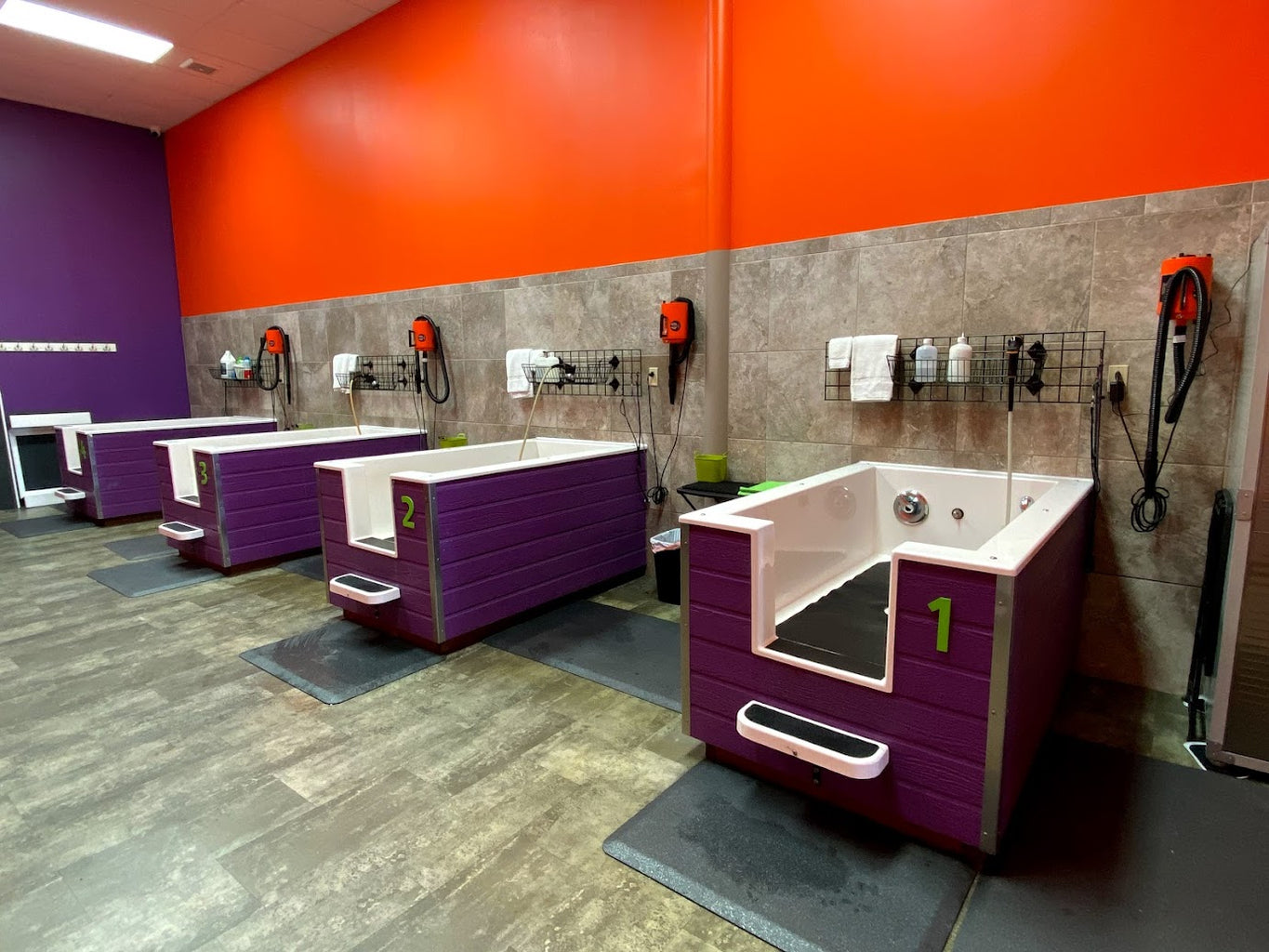 A Place for Paws LLC