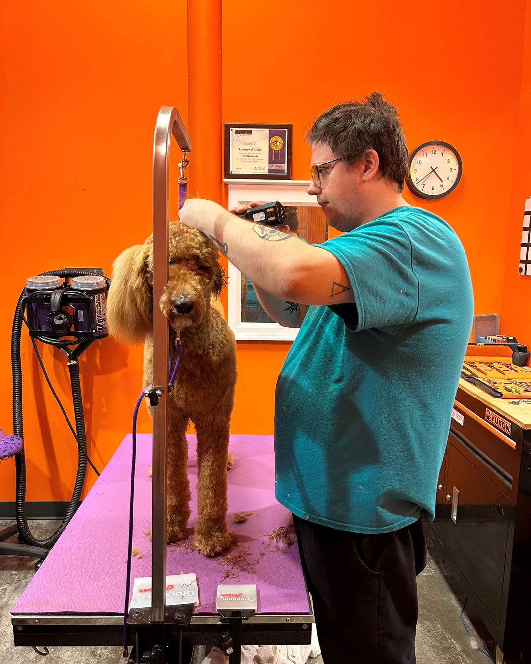 Bathing & Grooming – A Place for Paws